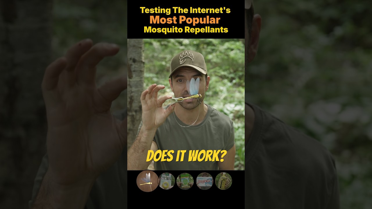 Which Mosquito Repellants ACTUALLY Work…. (and which don’t)