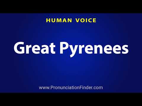 How To Pronounce Great Pyrenees