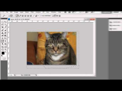 Photoshop | How to Crop Images Using the Pen Tool