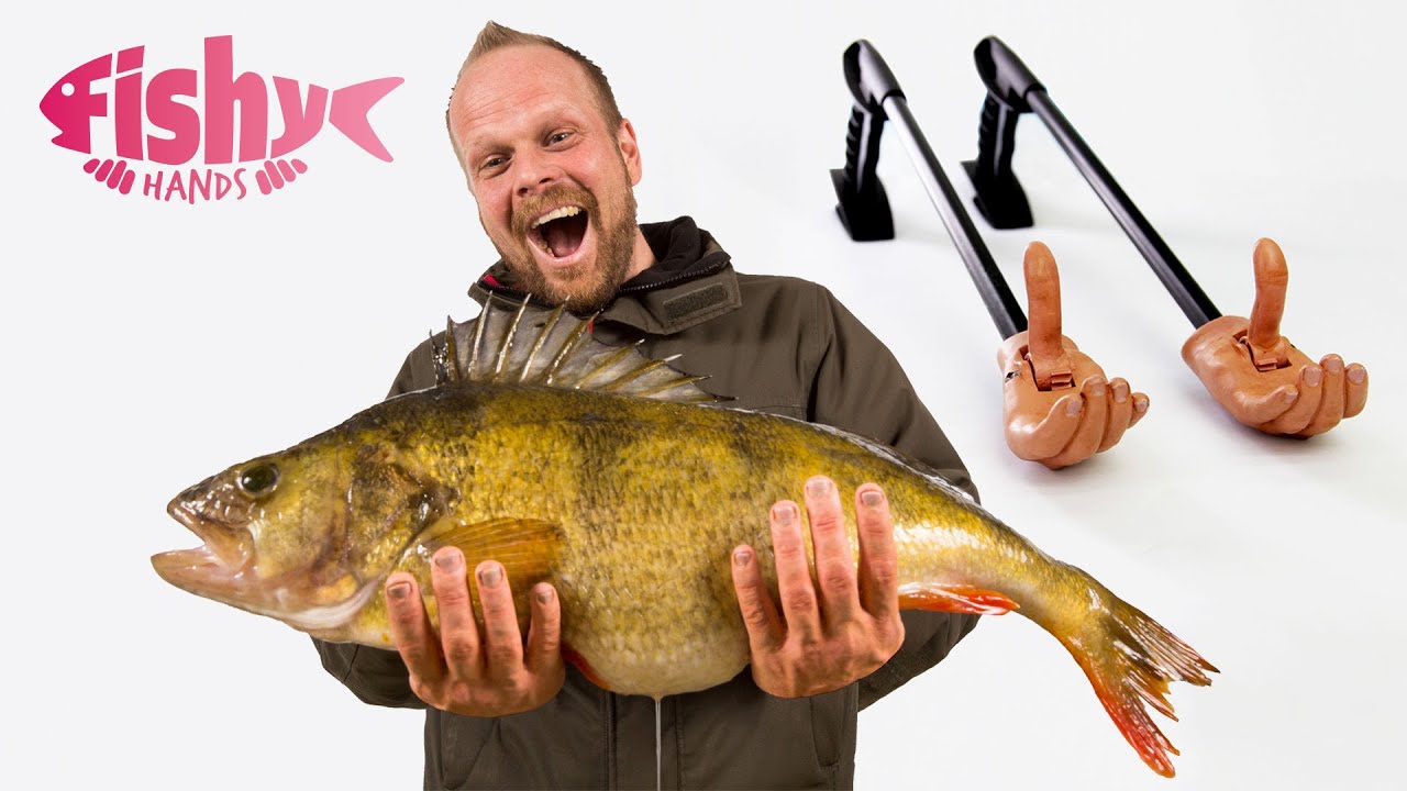 Introducing FishyHands