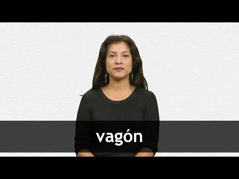 English Translation of “VAGÓN” | Collins Spanish-English Dictionary