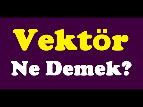 Vektör Ne Demek,vektör nedir,vektör nasıl çizilir