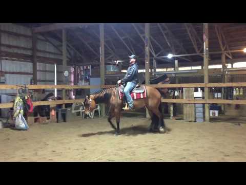 For Sale: Tom Powers Top 10 No Doubt I'm Lazy Mare