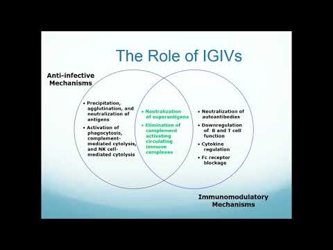 Immunoglobulin Therapy Overview