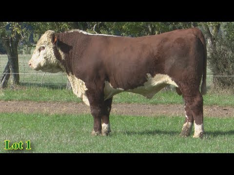 Lot 01 Quamby Plains Puzzle P232