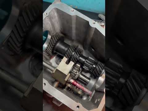 5 speed transmission rebuild