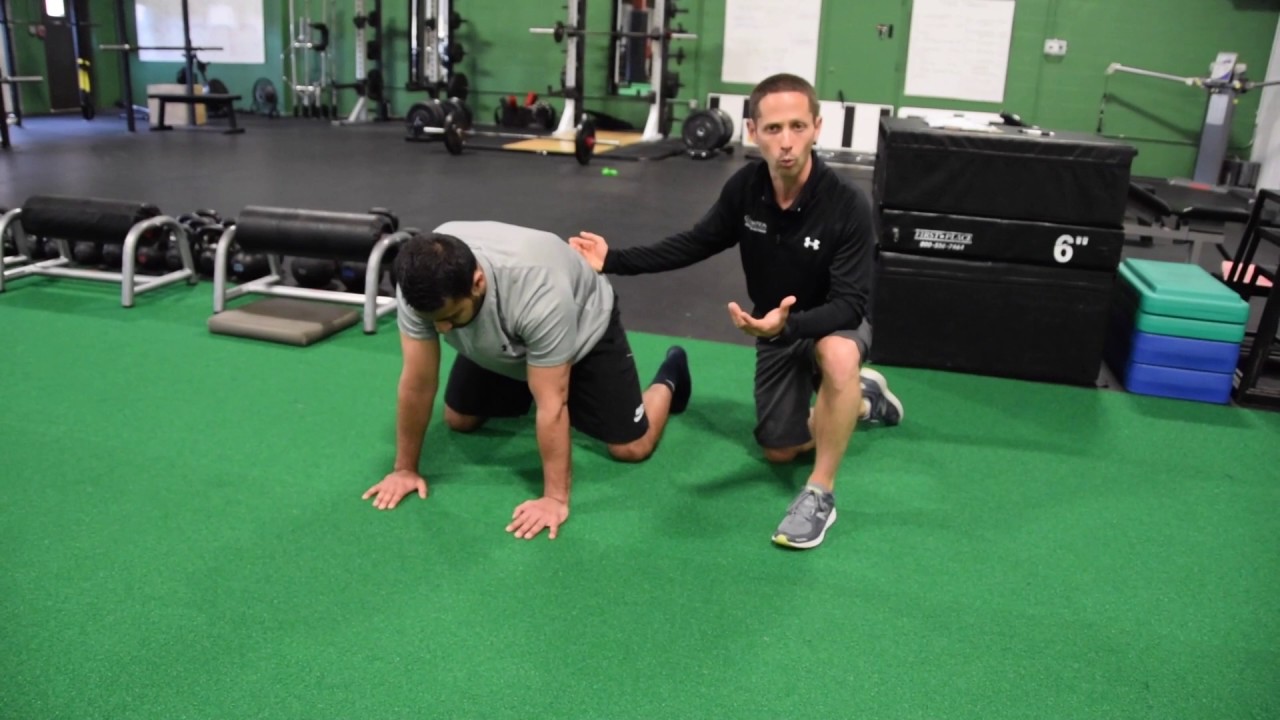 Quadruped Rock Back - Hip Mobility Drill
