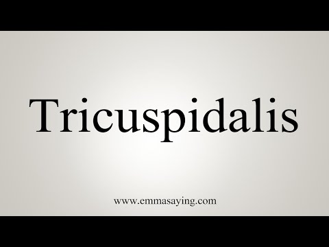 How To Say Tricuspidalis