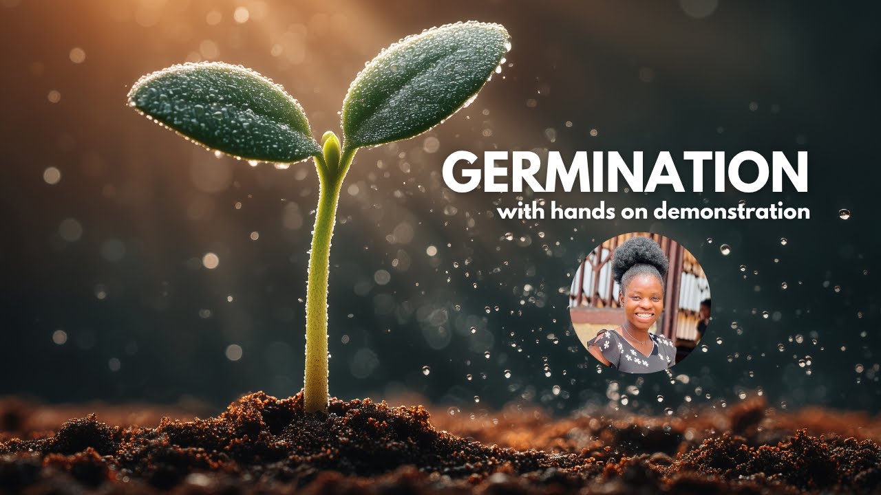 Seed Germination for Kids