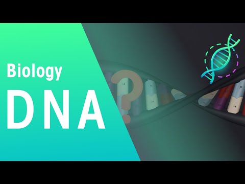 What Is DNA | Genetics | Biology | FuseSchool