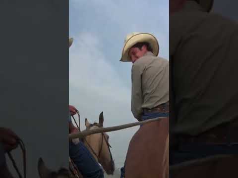This Ain't Banner's First Rodeo! | The Incredible Hulk #shorts
