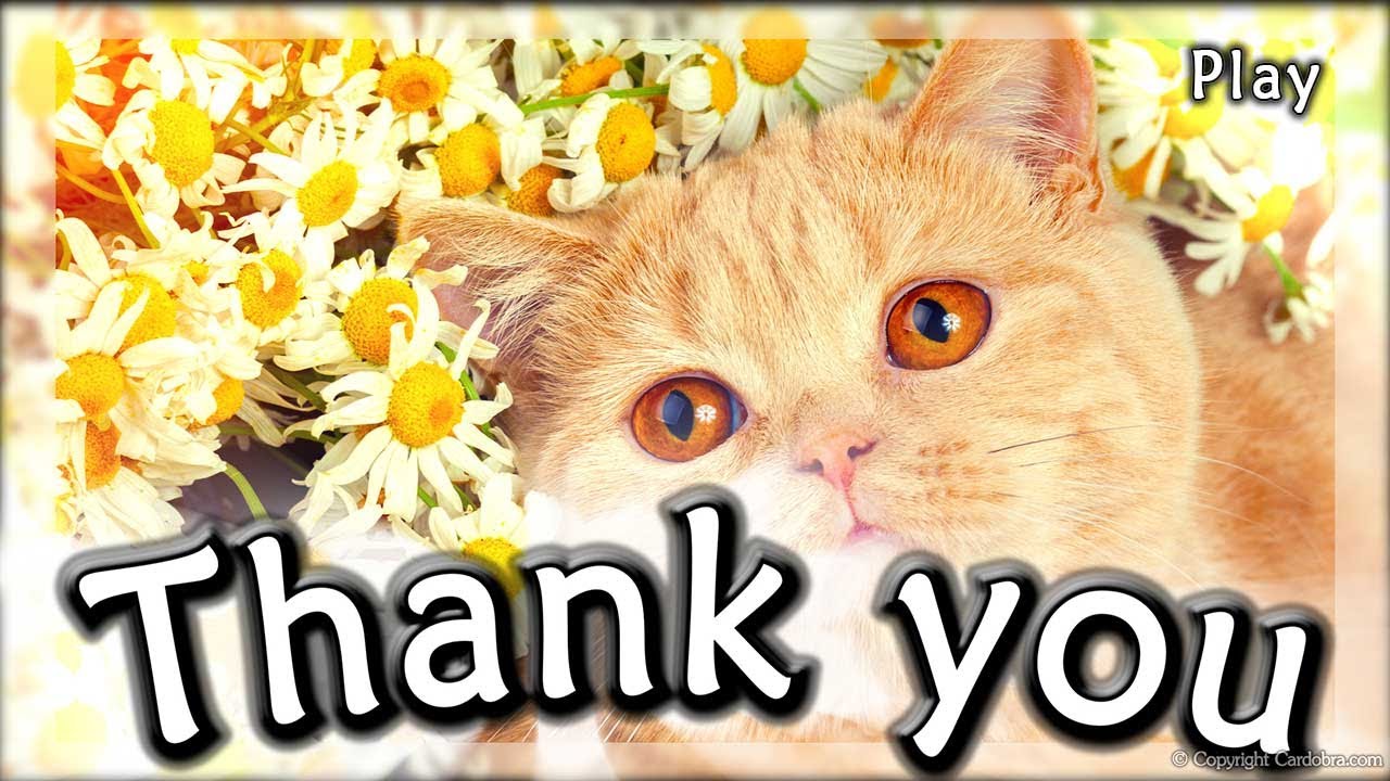 Narrated eCard - Thankyou - for All That You've Done