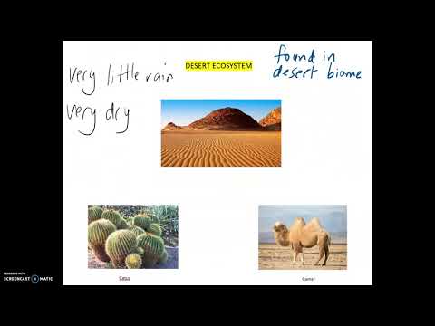 KS3 Science ECOSYSTEMS with examples of desert and Tropical Rainforest