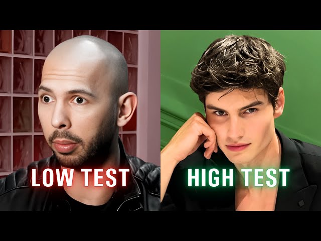 Understanding the Impact of Testosterone on Facial Attractiveness ...