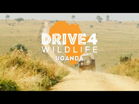 A Conservation Mission in Uganda! - Drive 4 Wildlife