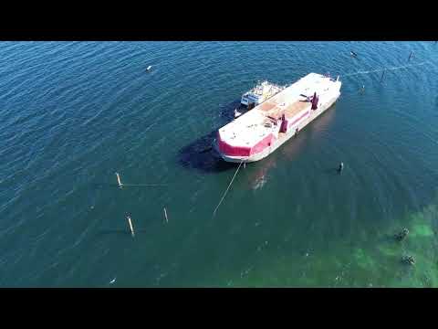 Deep Water Recovery ship breaking Oct. 13, 2025. :) – allthingsunionbay