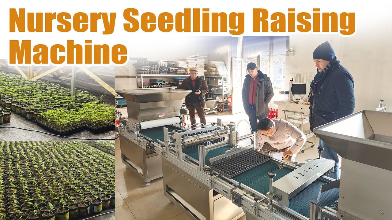 Fully Automatic Vegetable Nursery Seedling Raising Machine - Revolutionizing Planting Efficiency