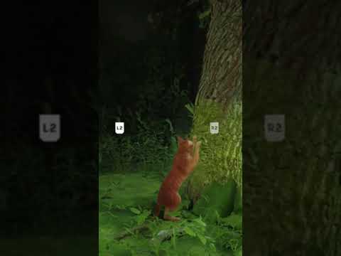 Steam Community :: Video :: Stray | Chapter 1 scratch place | A10A #Shorts