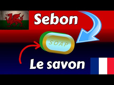 20 Welsh and French Words compared