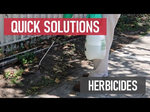 Quick Solutions: What are Herbicides?