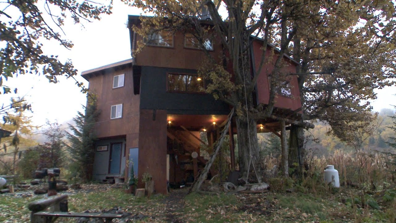 This Alaskan Tree House Has a Rustic Charm