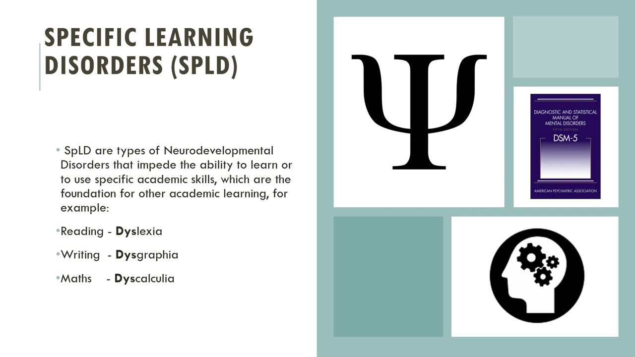 Understanding Academic Accommodations