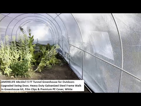 Tunnel Greenhouse by AMERELIFE 44x10x7.5 FT Upgraded Swing Door, Heavy Duty Galvanized Steel Frame