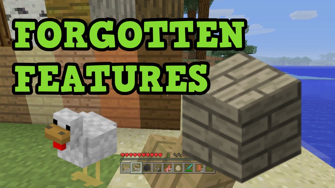 Minecraft 5 Forgotten Features