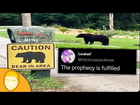 r/NonPoliticalTwitter: HE PULL UP
