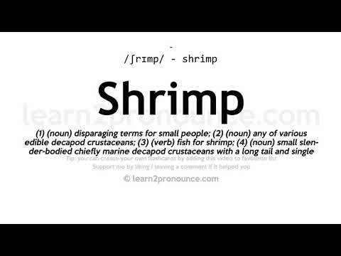 Shrimp pronunciation and definition