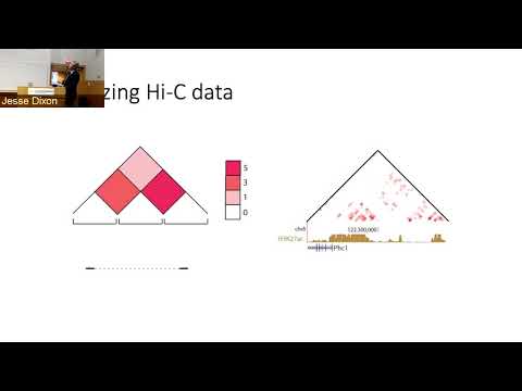 CCMB Seminar 10/16/2019 - Jesse Dixon, PhD