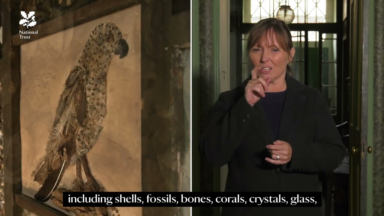 A la Ronde, Look up.  The Octagon and Shell Gallery