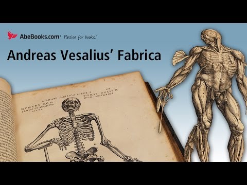 Three Great Renaissance Doctors – Vesalius, Pare and Harvey | The ...