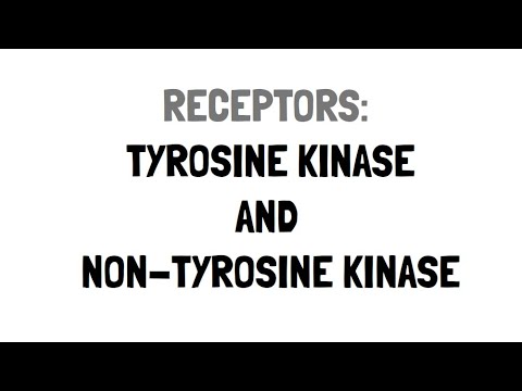 Tyrosine Kinase Receptor and Non Tyrosine Kinase Receptors