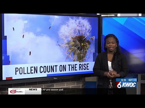 Ragweed season preparation and map forecast outlook