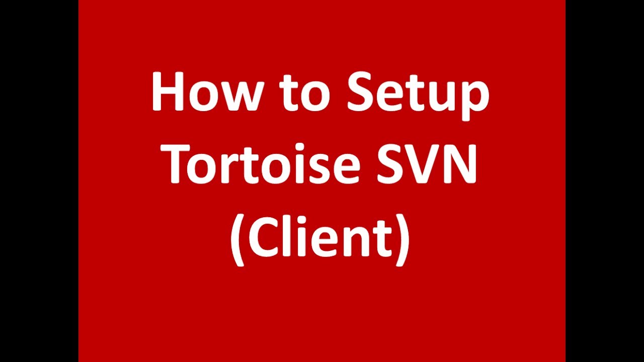 How to Set up Tortoise Client