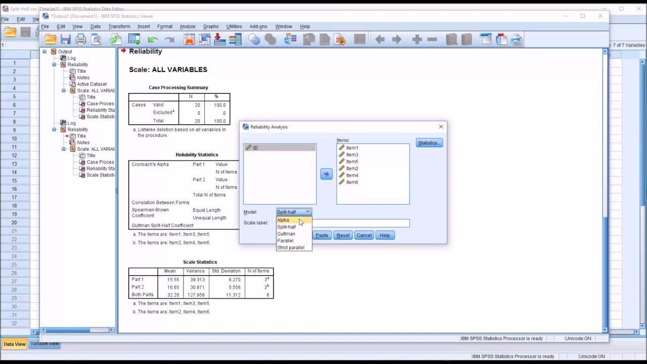 Split-Half Reliability and the Spearman-Brown Coefficient using SPSS