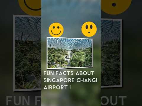 FUN FACTS ABOUT CHANGI AIRPORT #singaport #airport