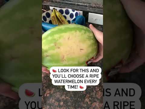 How to choose a ripe watermelon!! ????