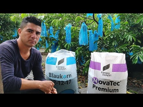 Asi fertilizo mis árboles y cosecho muchas frutas
