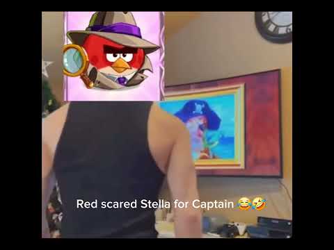 Aye aye captain, AYE AYE CAPTAIN AHHHH #red #stella #angrybirds2 #memefunny #meme #funny