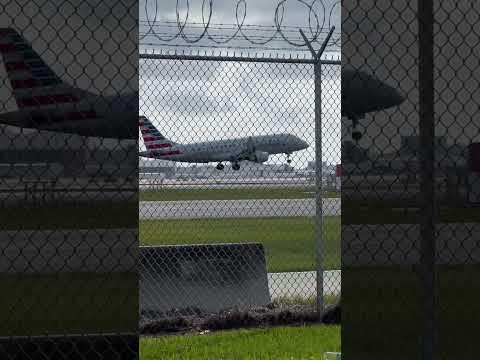 American Eagle #shorts #planespotting subscribe 🙏👍