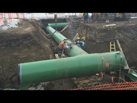 Pipe Tees at Best Price in India