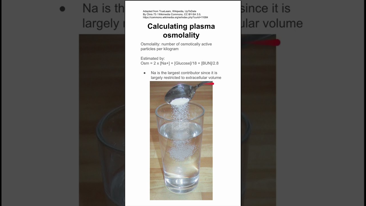 Calculating plasma osmolality