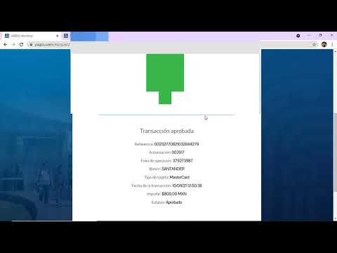 Manual Pago Recibos de Servicios de Inscripción y Reinscripción