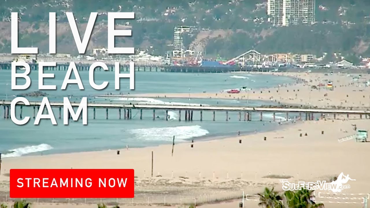 60+ Live Webcams for Virtual Office Backgrounds ...