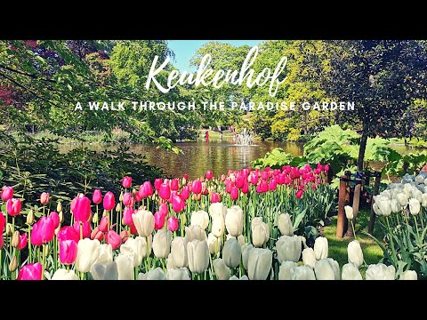 A Walk through the Paradise Garden at Keukenhof Netherlands | tips EN trips