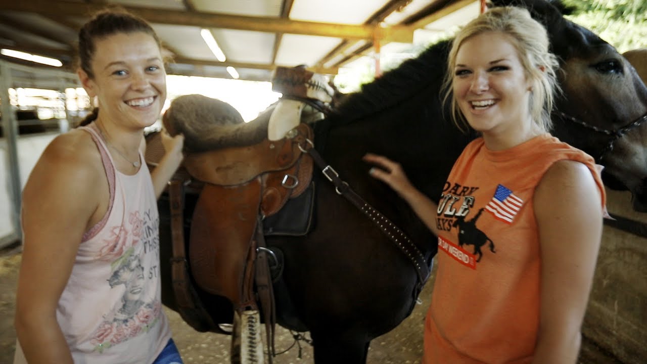 Rodeo for Mules - Springfield, MO