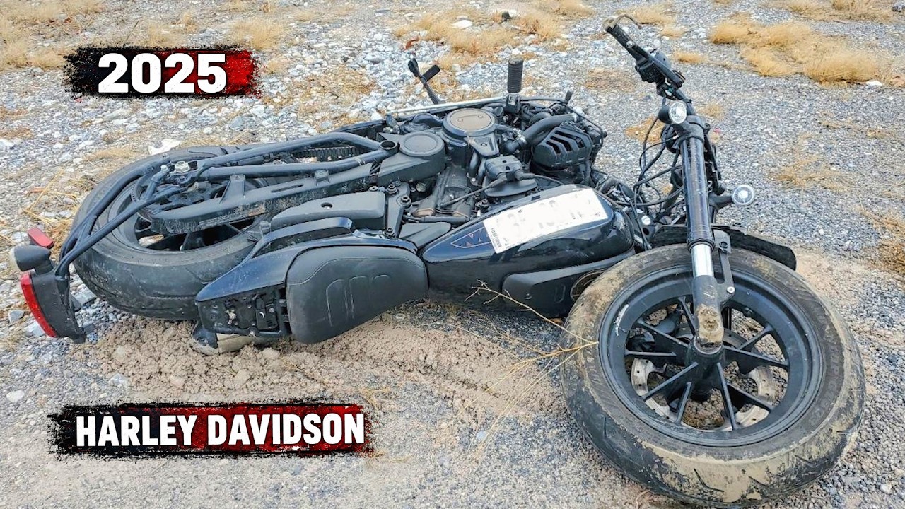 They Wrecked This 2025 Harley-Davidson... I Brought It Back To Life