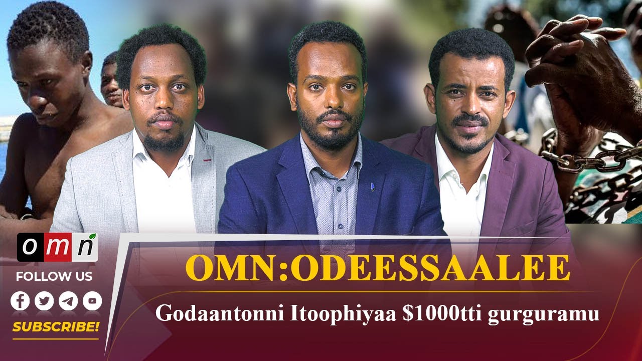 OMN Horn Odeessaalee Ebla 4, 2024